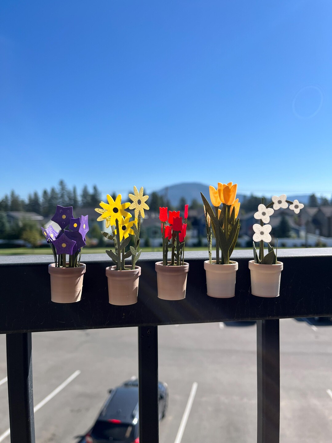 Flower Pot Fridge Magnets - House Plants - Flowers - Etsy