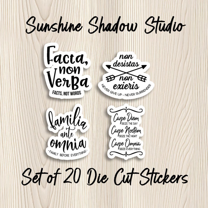 Latin Quote - Etsy