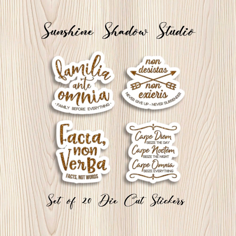 Latin Quote - Etsy
