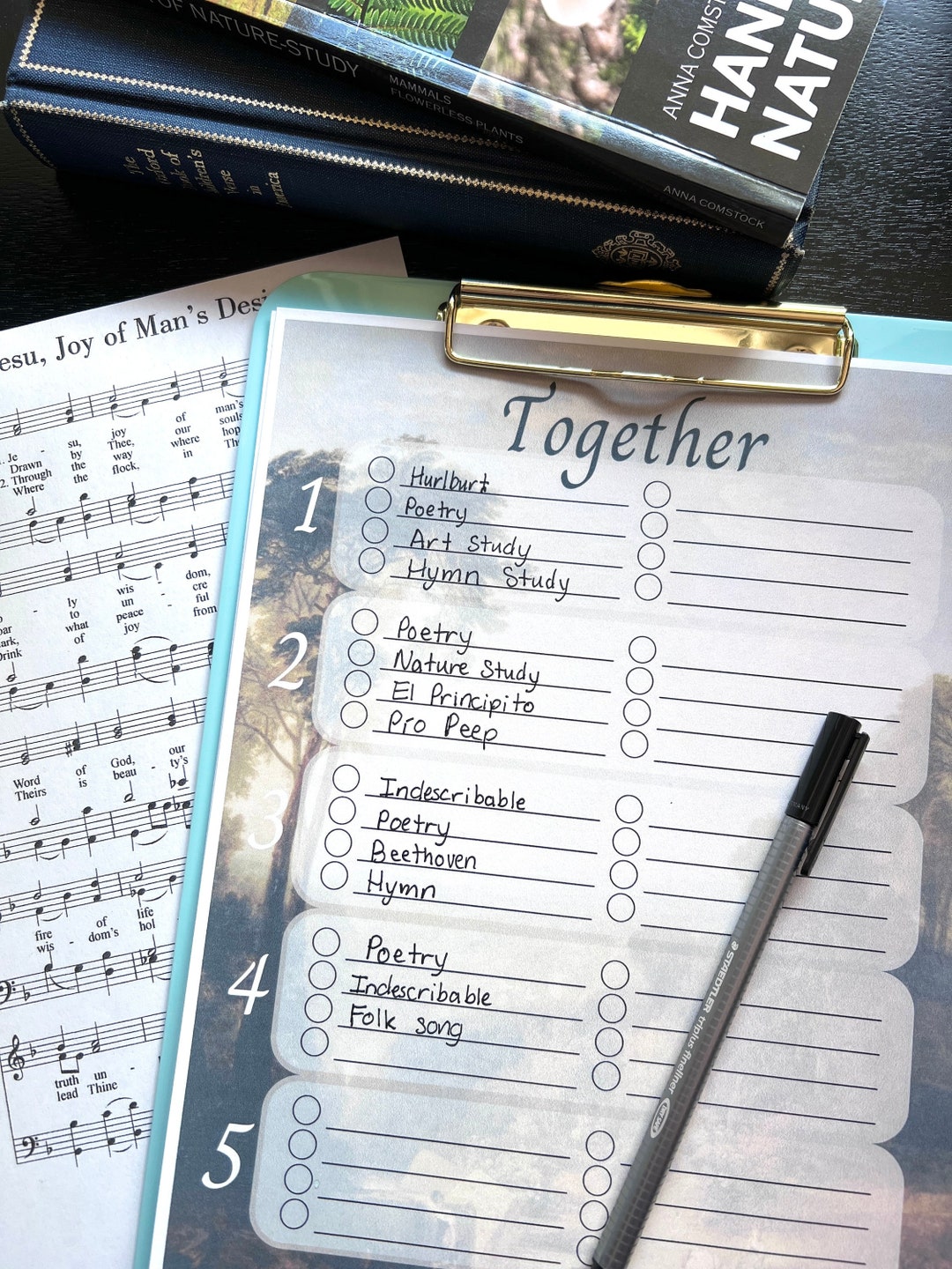 Printable Checklist for a 5 Day Loop Schedule - Etsy