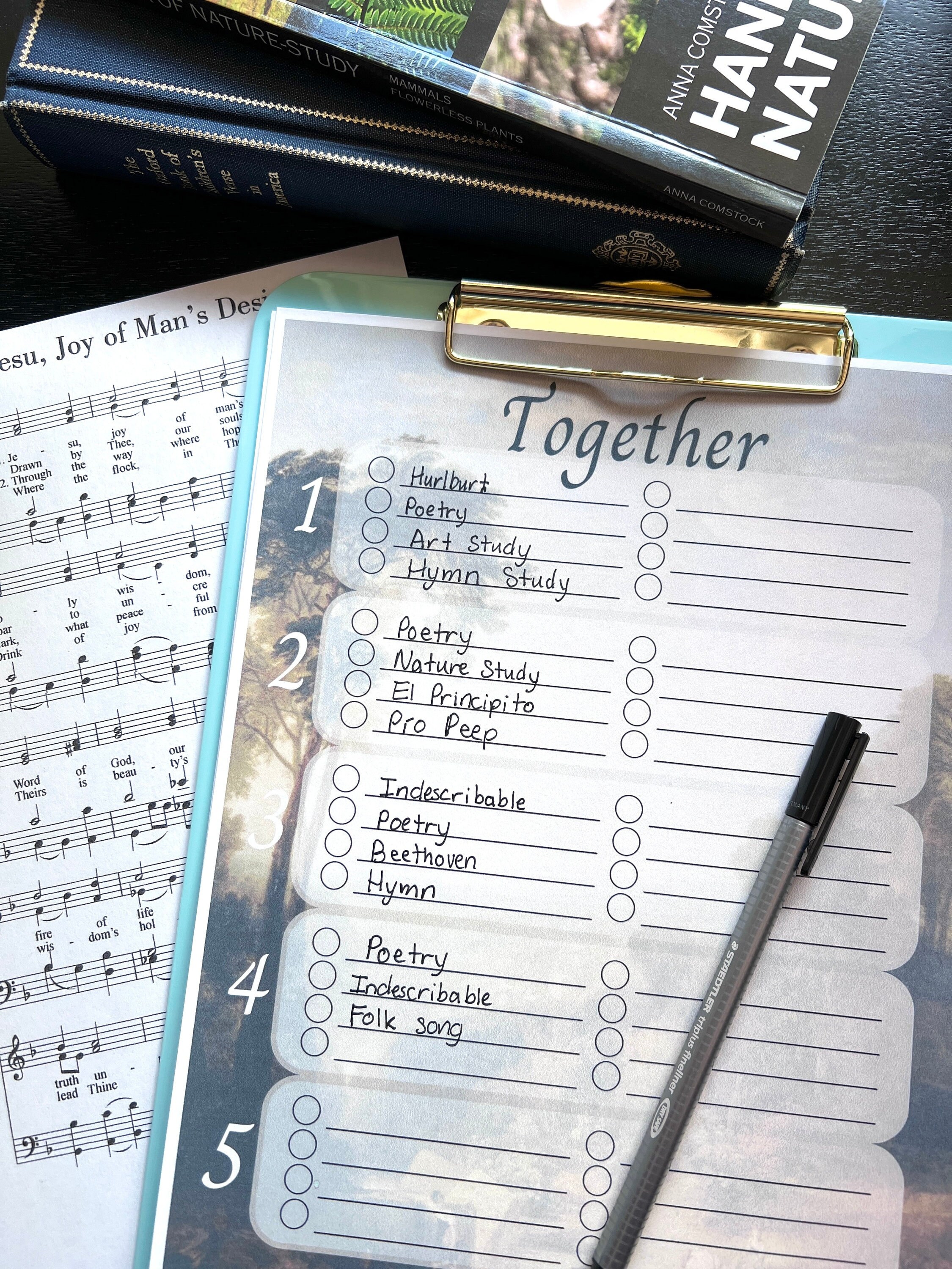Printable Checklist for a 5 Day Loop Schedule - Etsy