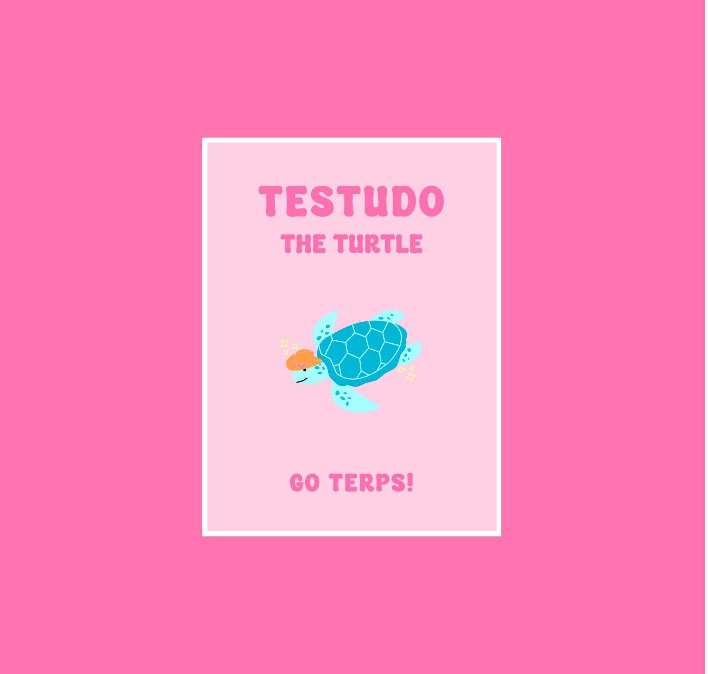 Custom College Posters | Single Poster | Digital Download | Trendy Wall ...