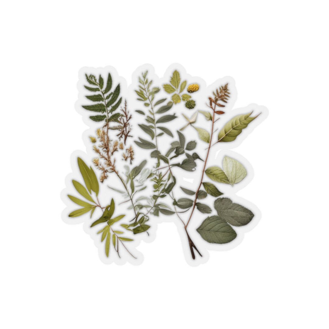 Plant Cluster Sticker - Etsy