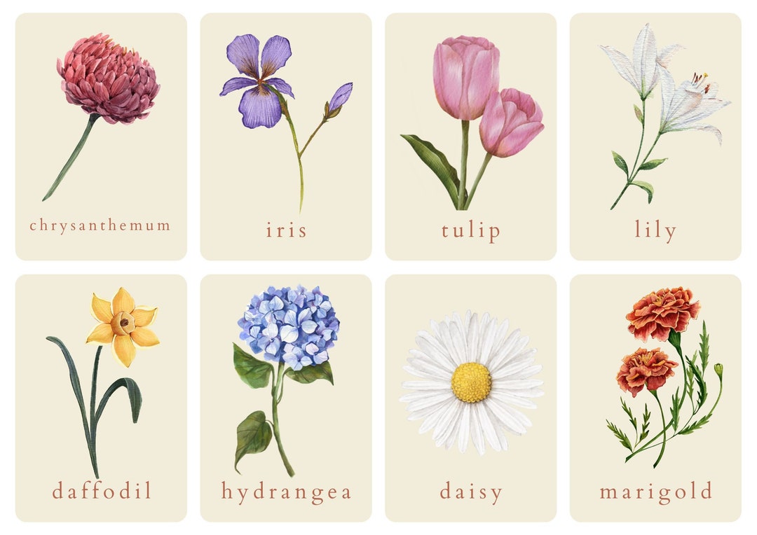 Homeschool Flower Flashcards (digital Download) - Etsy