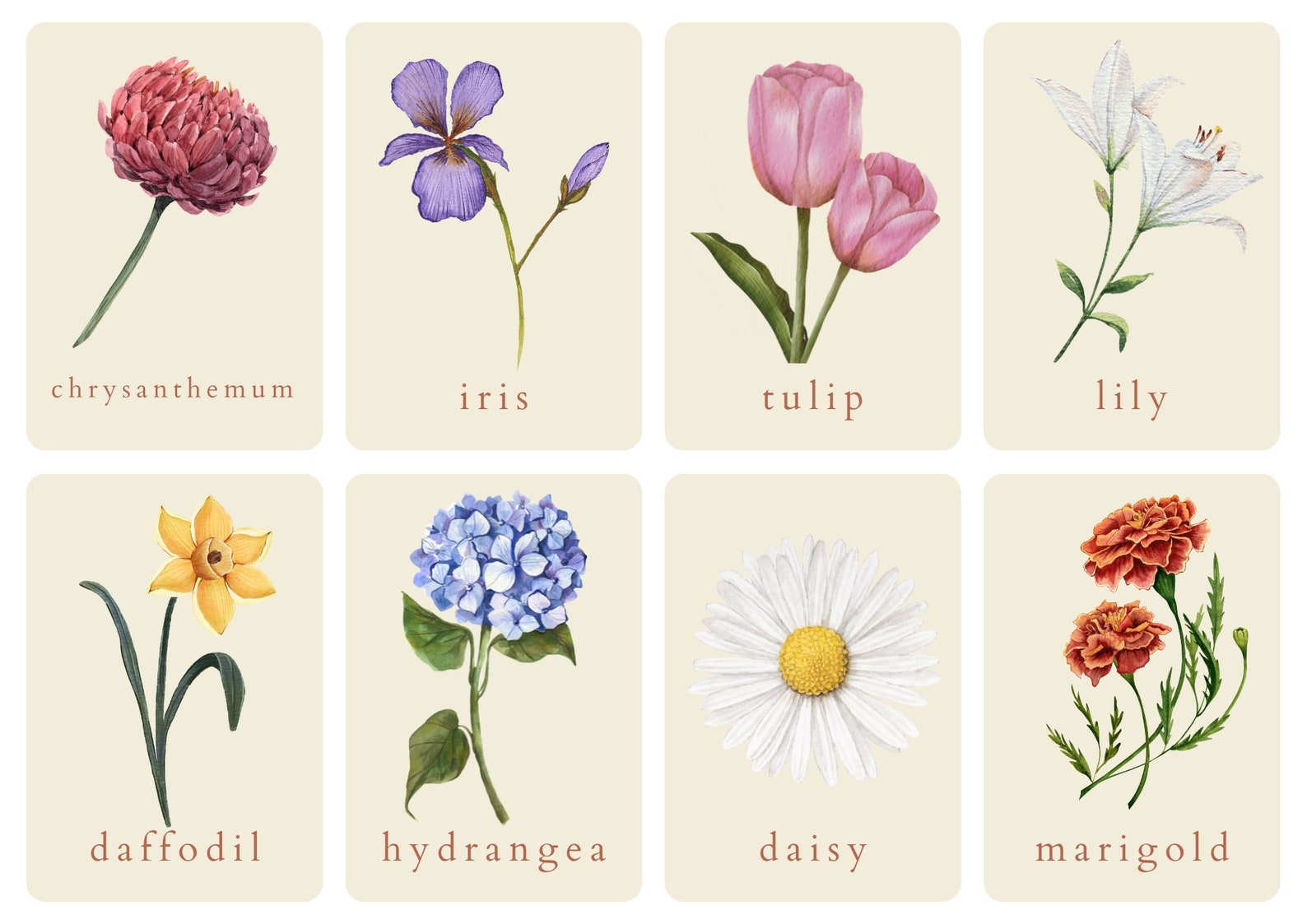 Homeschool Flower Flashcards (digital Download) - Etsy