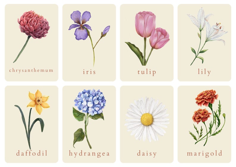 Homeschool Flower Flashcards (digital Download) - Etsy