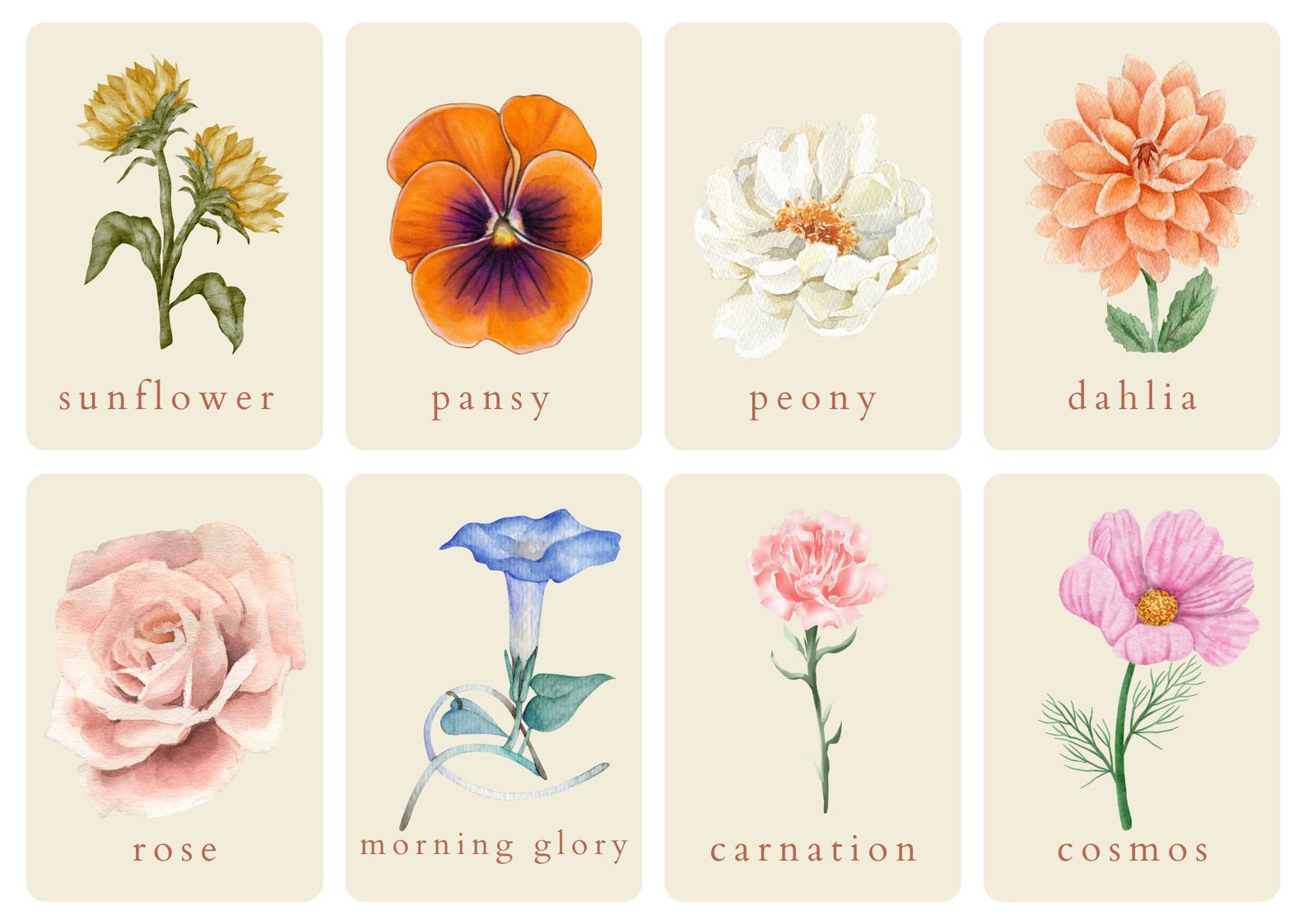 Homeschool Flower Flashcards (digital Download) - Etsy