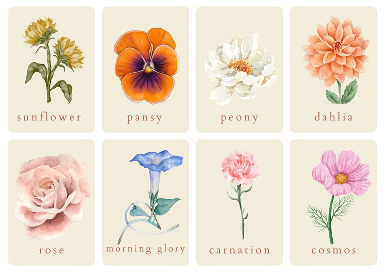 Homeschool Flower Flashcards (digital Download) - Etsy