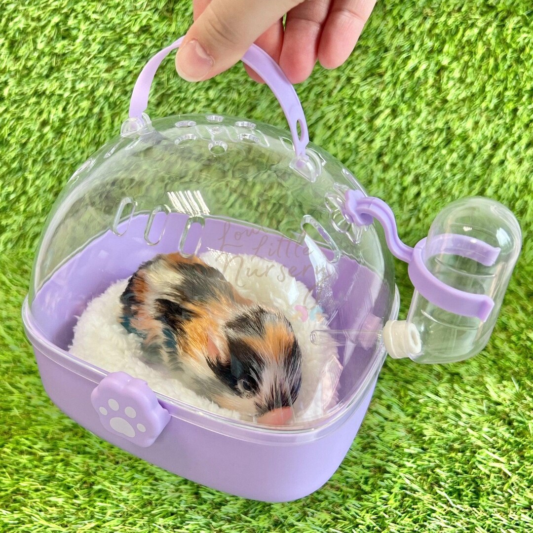 Silicone Animal Lockable Paw Cage - NO ANIMAL INCLUDED - Reborn ...