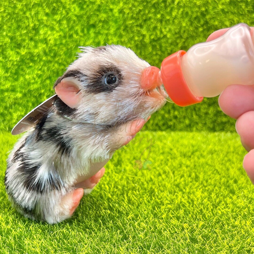 Silicone Animal Pretend Mini Bottle - Reborn Accessories - Etsy