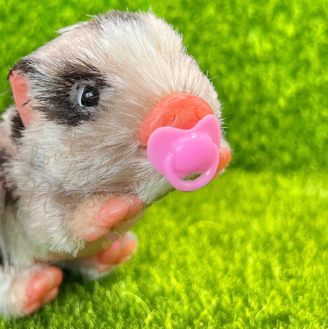 Silicone Animal Mini Realistic Pacifier - NO ANIMAL INCLUDED - Reborn ...