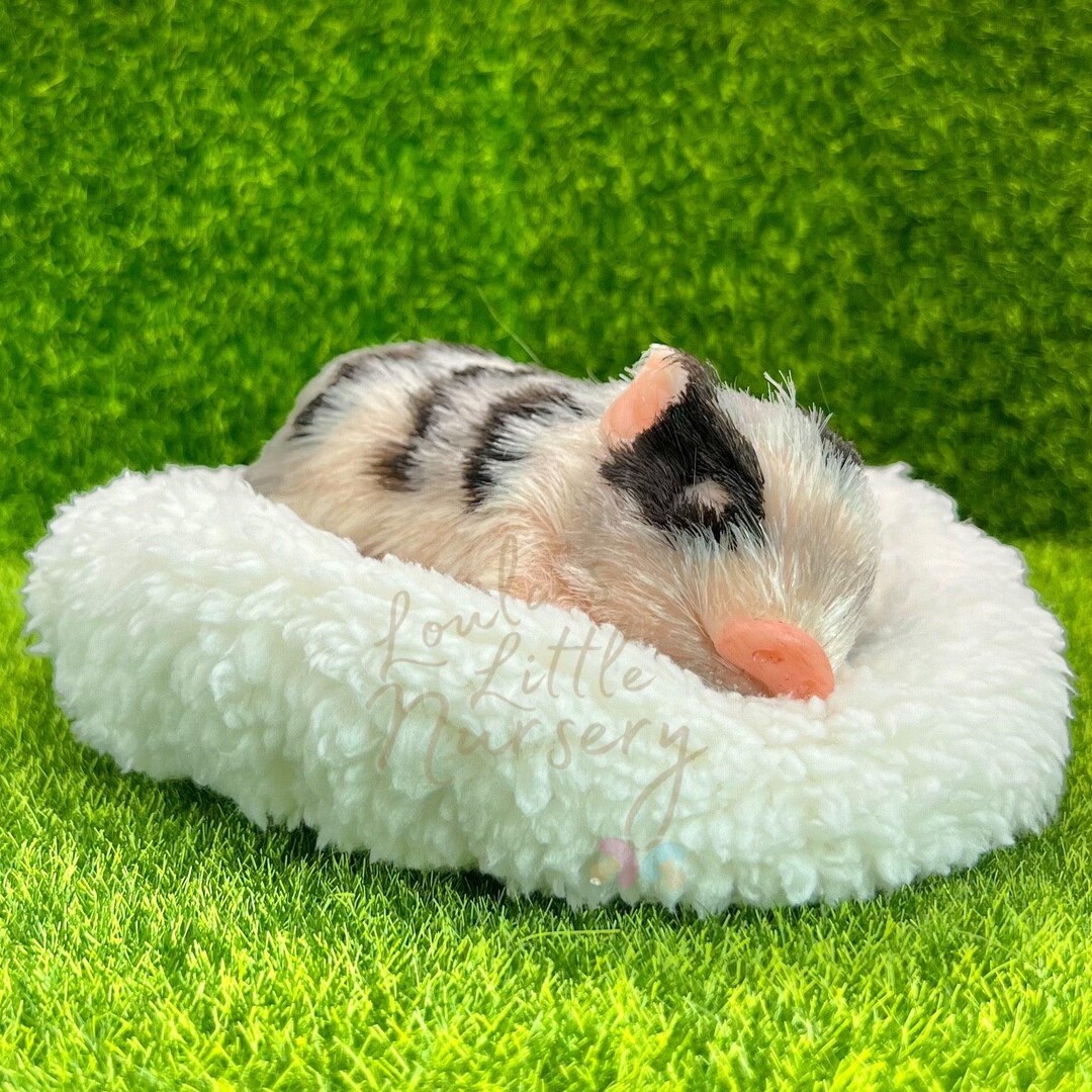 Loula's Little Nursery Exclusive Sleeping Triple Tone Piglet ...