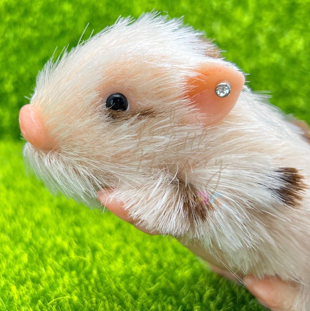 Silicone Animal Ear Piercing Service - NO ANIMAL INCLUDED - Reborn ...