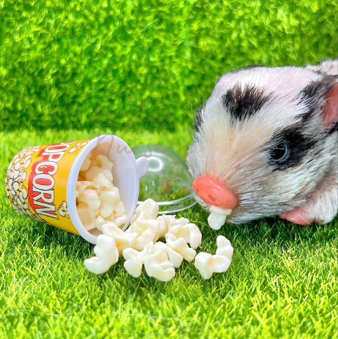 Silicone Animal Mini Popcorn Bucket - NO ANIMAL INCLUDED - Reborn ...