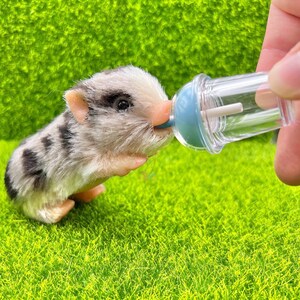 Silicone Animal Sippy Cup & Pacifier - NO ANIMAL INCLUDED - Reborn ...