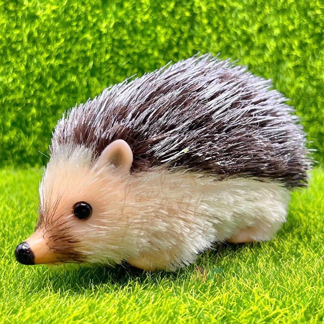 PRE ORDER Loula's Little Nursery Obsidian Spikes Hedgehog - Realistic ...
