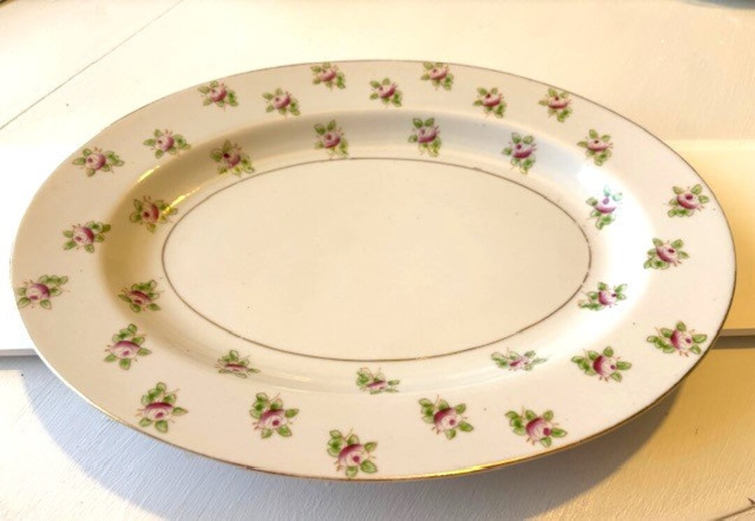 Nasco, China From Japan, Hand Painted, Rose and Leaf, Platter - Etsy