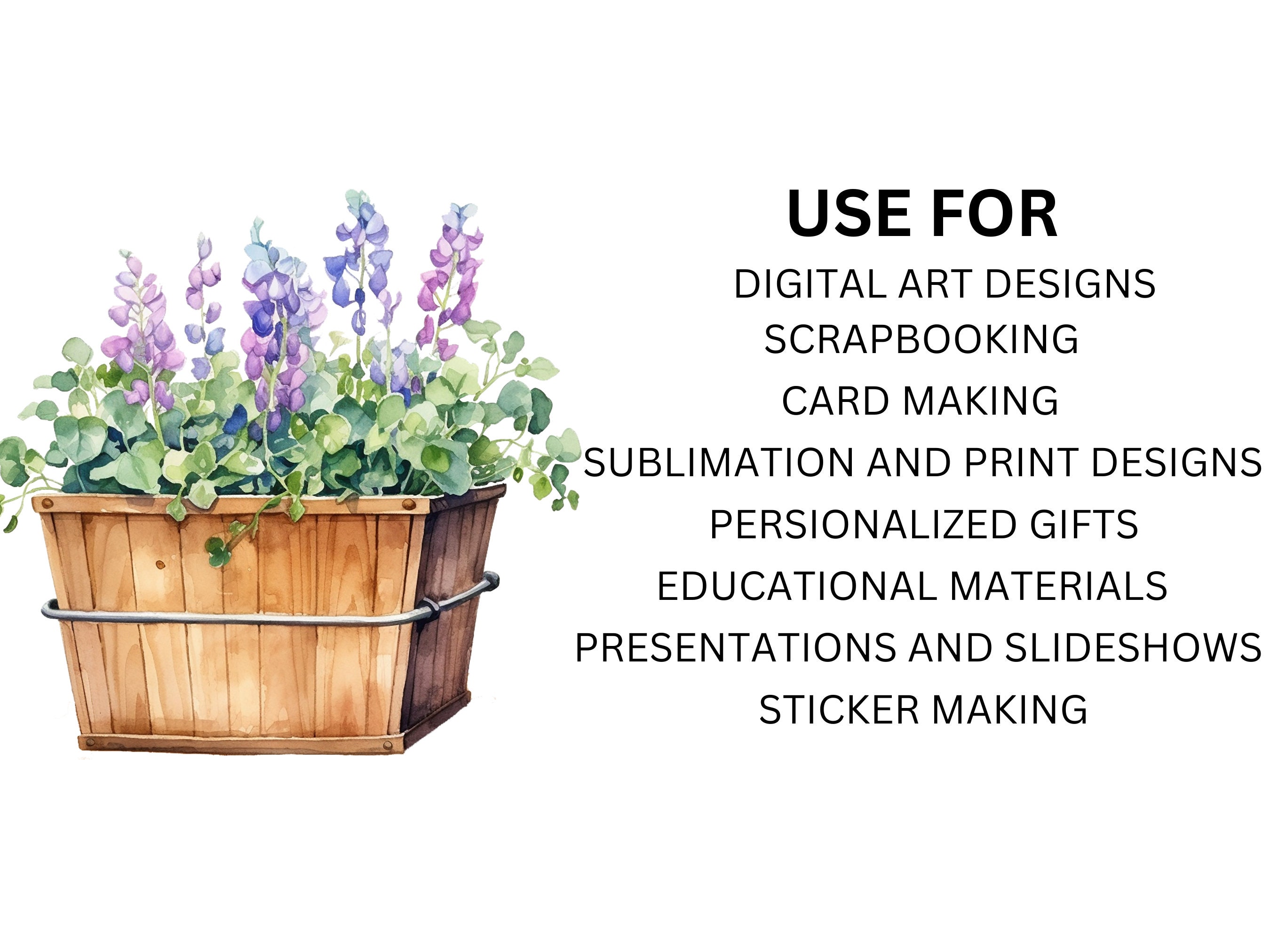 Blooming Garden Watercolor Clipart Bundle, 66 Pngs of Flowers, Plants ...