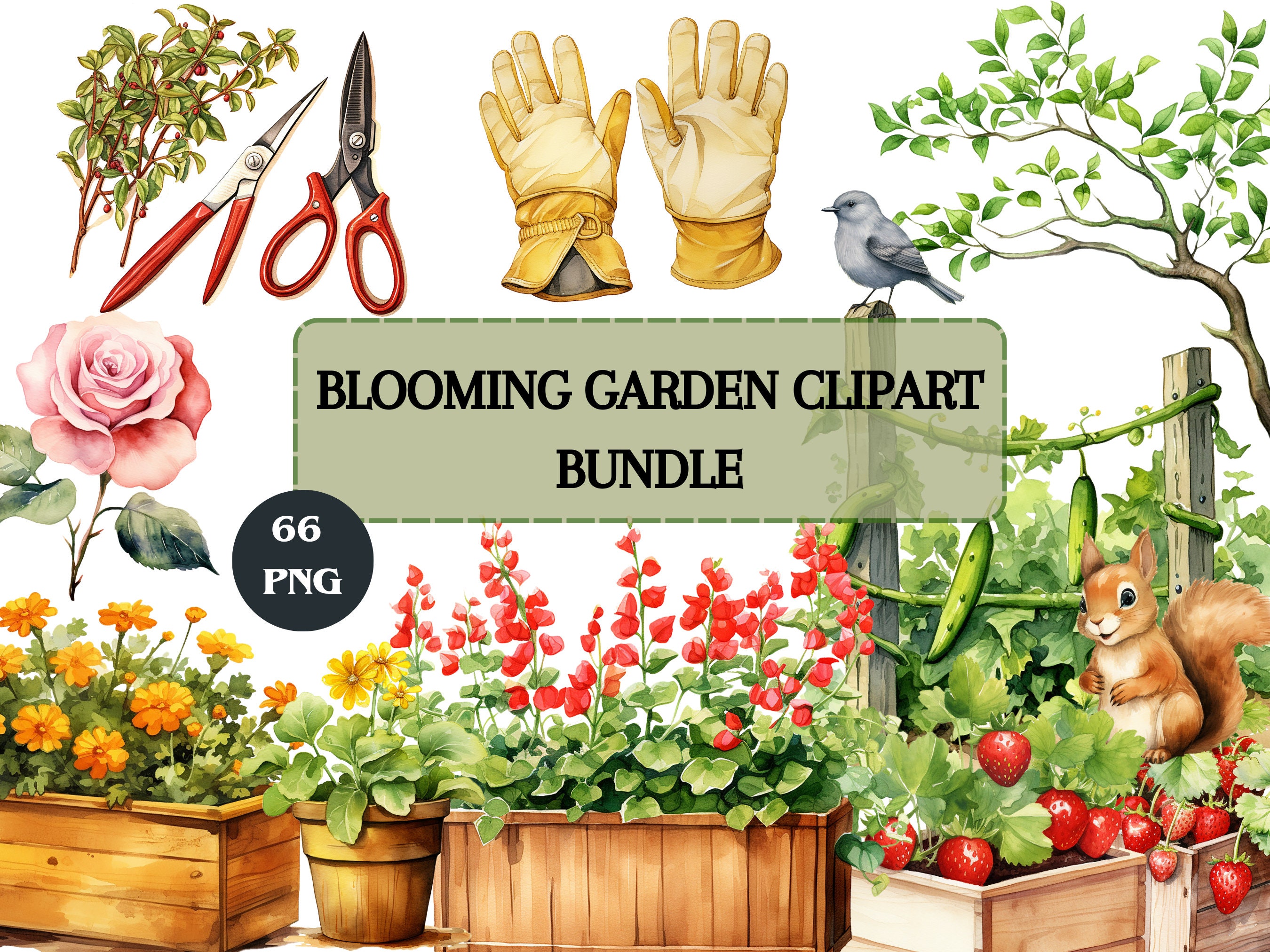 Blooming Garden Watercolor Clipart Bundle, 66 Pngs of Flowers, Plants ...