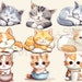 Cute Kitten Clipart, Cat Clipart Bundle, Instant Digital Download, Baby ...