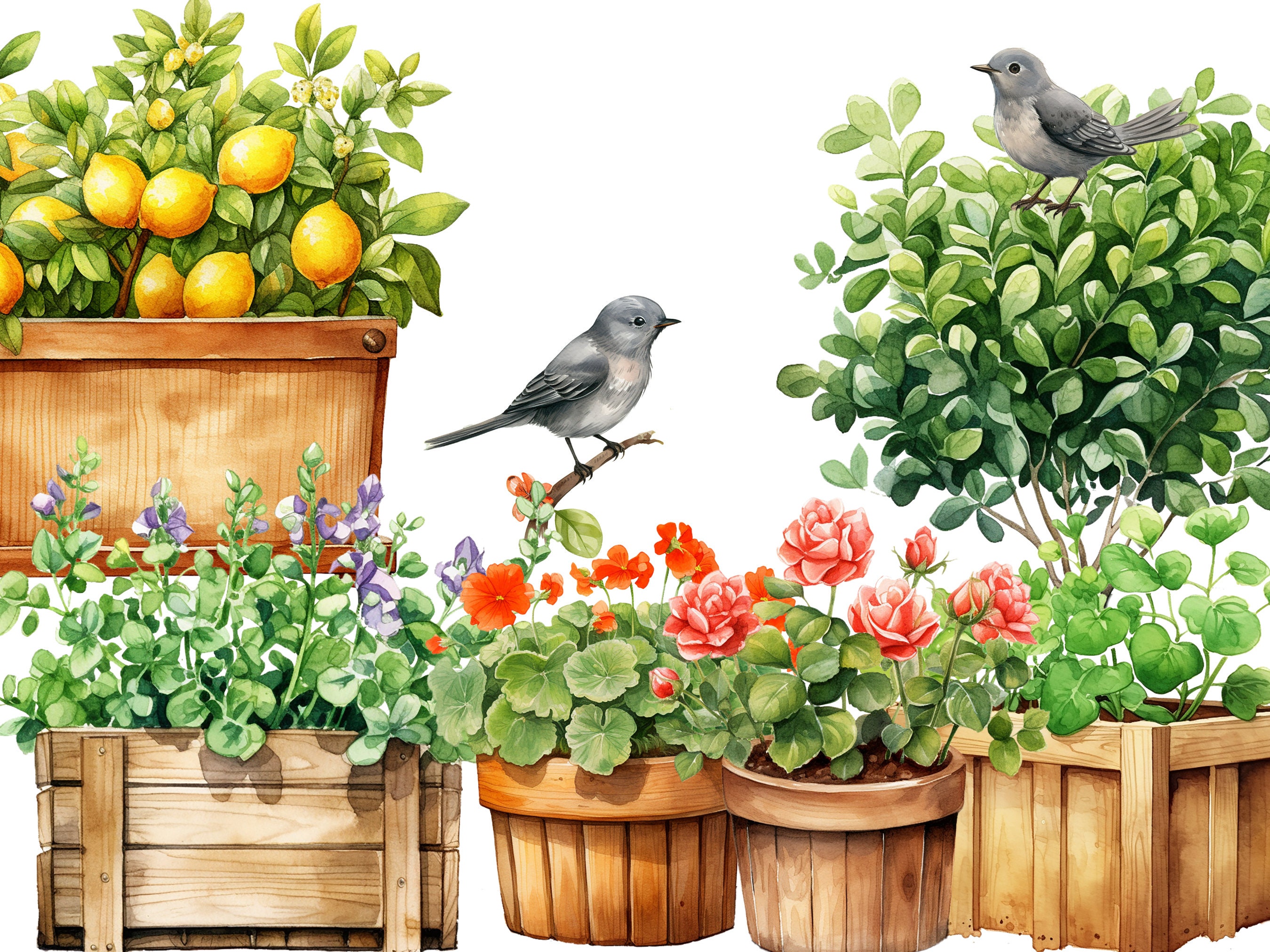 Blooming Garden Watercolor Clipart Bundle, 66 Pngs of Flowers, Plants ...