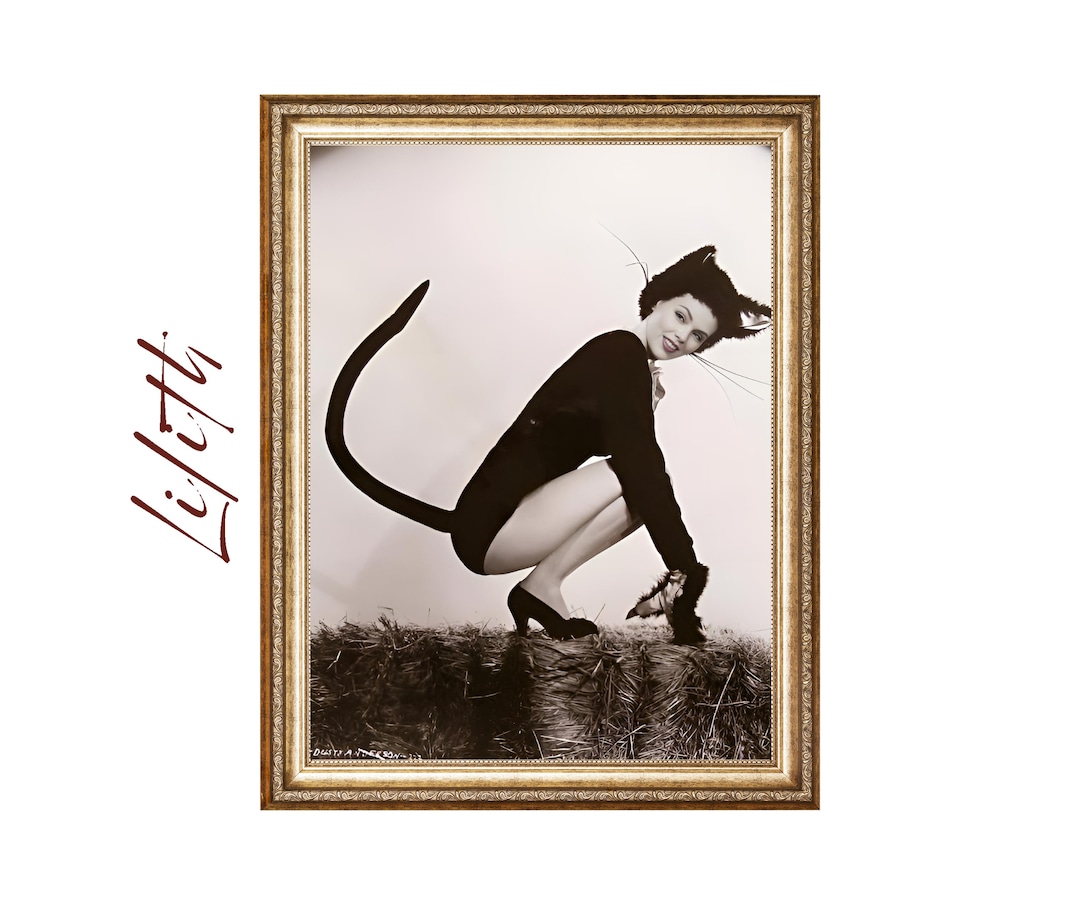 Dusty Anderson as Black Cat print.actress Photo Model - Etsy