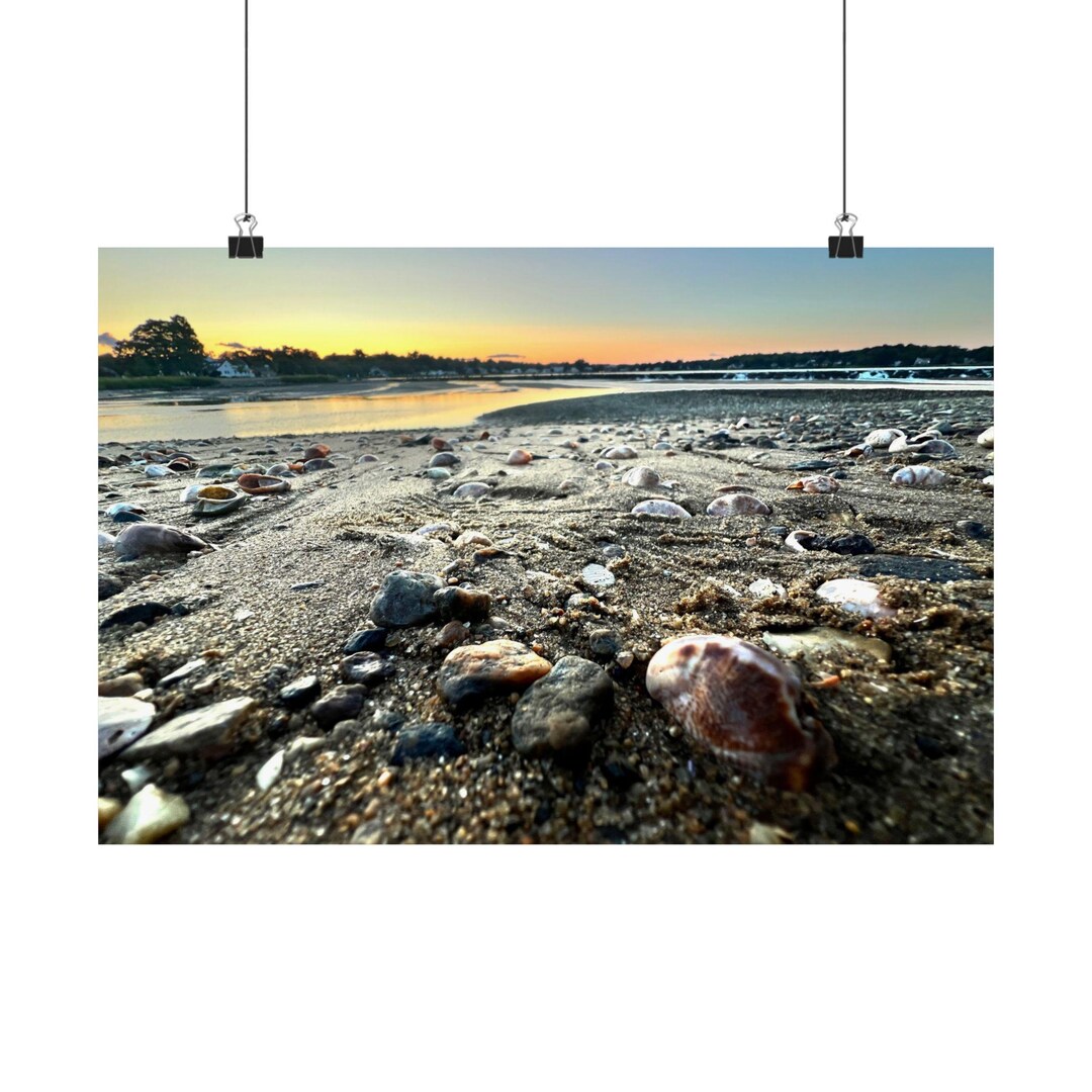 Sea Shells Poster, Beach Sunset Art Print, Coastal Wall Decor, Ocean ...