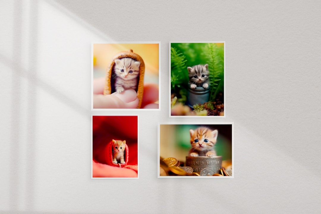 Cute Cat Downloadable Poster Set of 4, Kitten Photo, Bundle Print Set ...