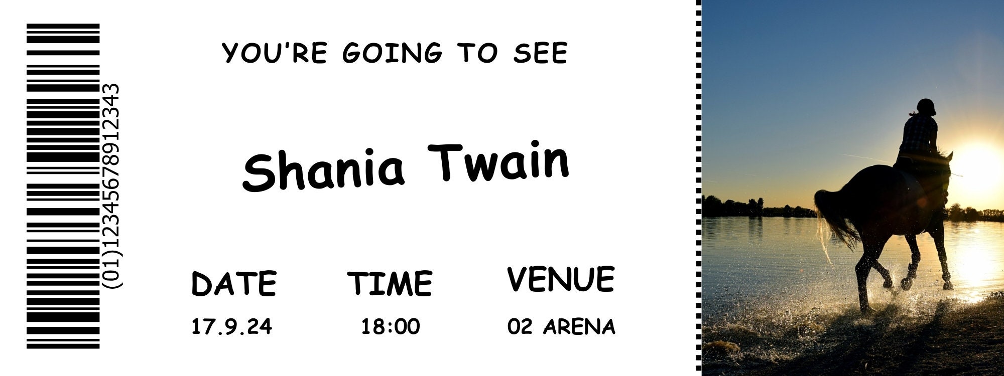 PERSONALIZED Concert Ticket Gift Souvenir Print at Home Email Delivery ...