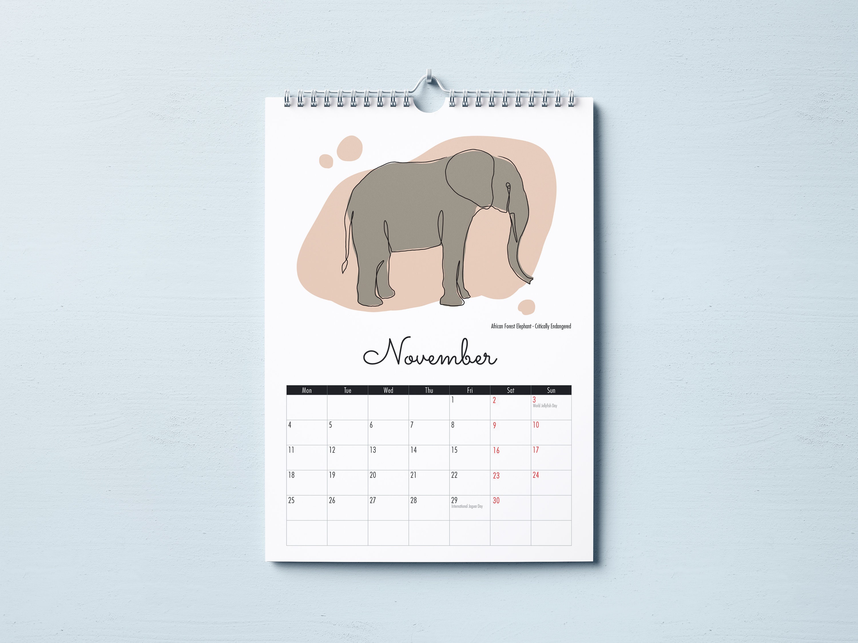 One Line Wildlife Calendar for 2024 With Endangered Species - Etsy