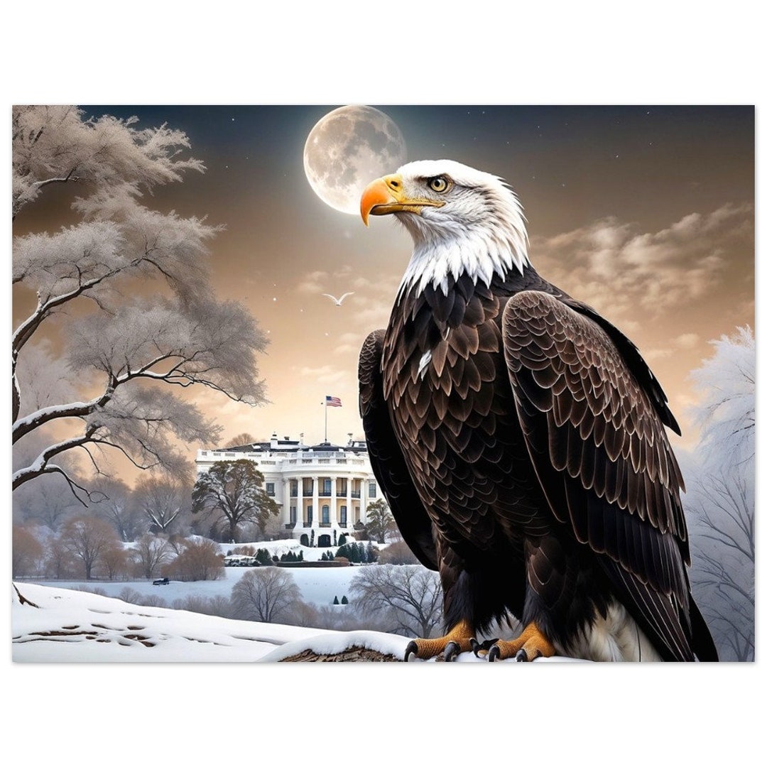Bald Eagle Poster, Bald Eagle Art Decor, Eagle Premium Matte Paper ...