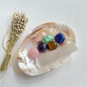 Pearly Sea Shell Incense Holder, Oyster Shell Incense Holder, Incense ...