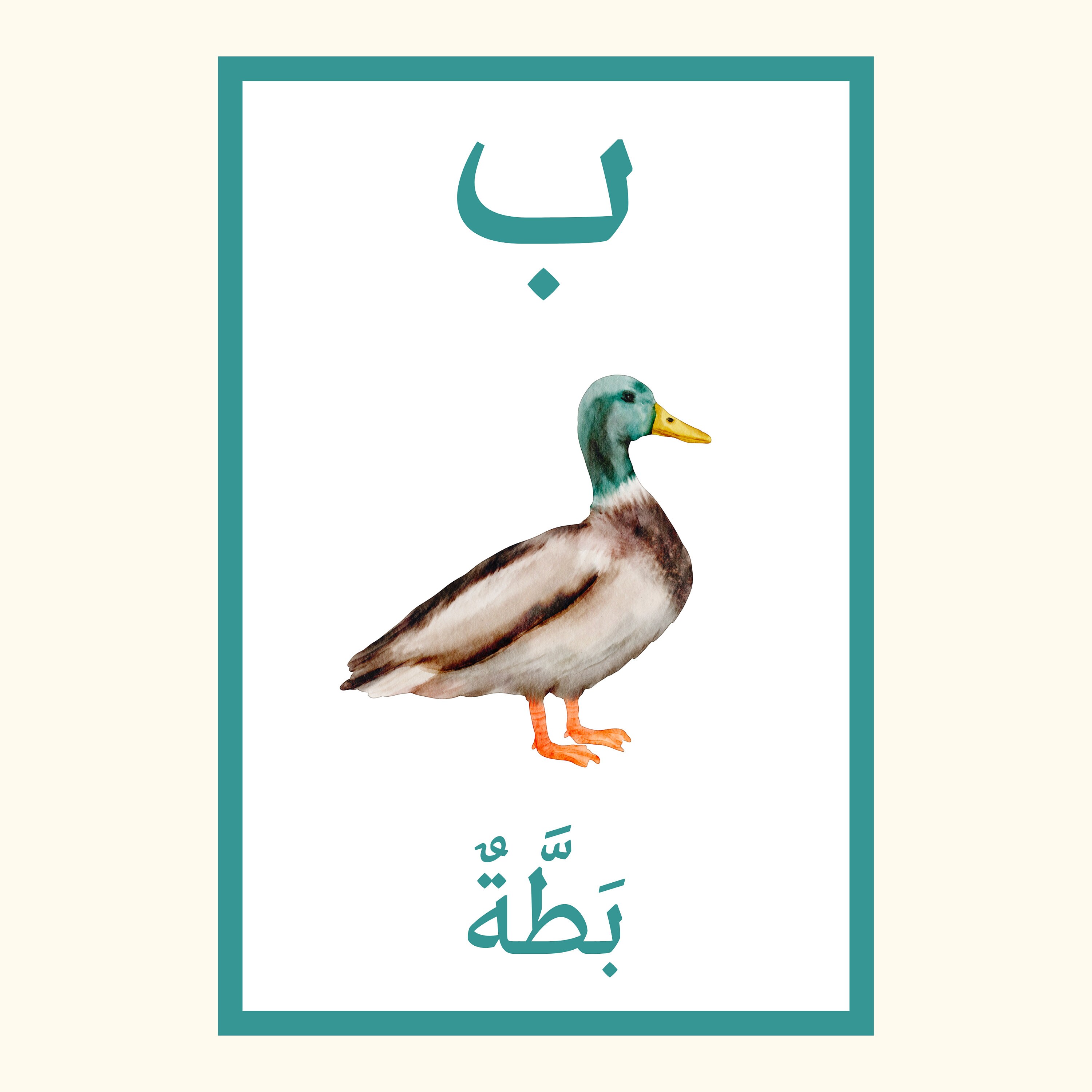 Editable Arabic Alphabet Animals Flashcards Huruf Hijaiyyah Printable ...