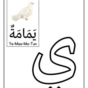 Arabic Alphabet Huruf Hijaiyah (complete): Worksheets With Animal ...