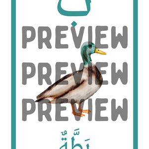 Arabic Animal Alphabet Flashcards - Printable PDF - Huruf Hijaiyyah ...