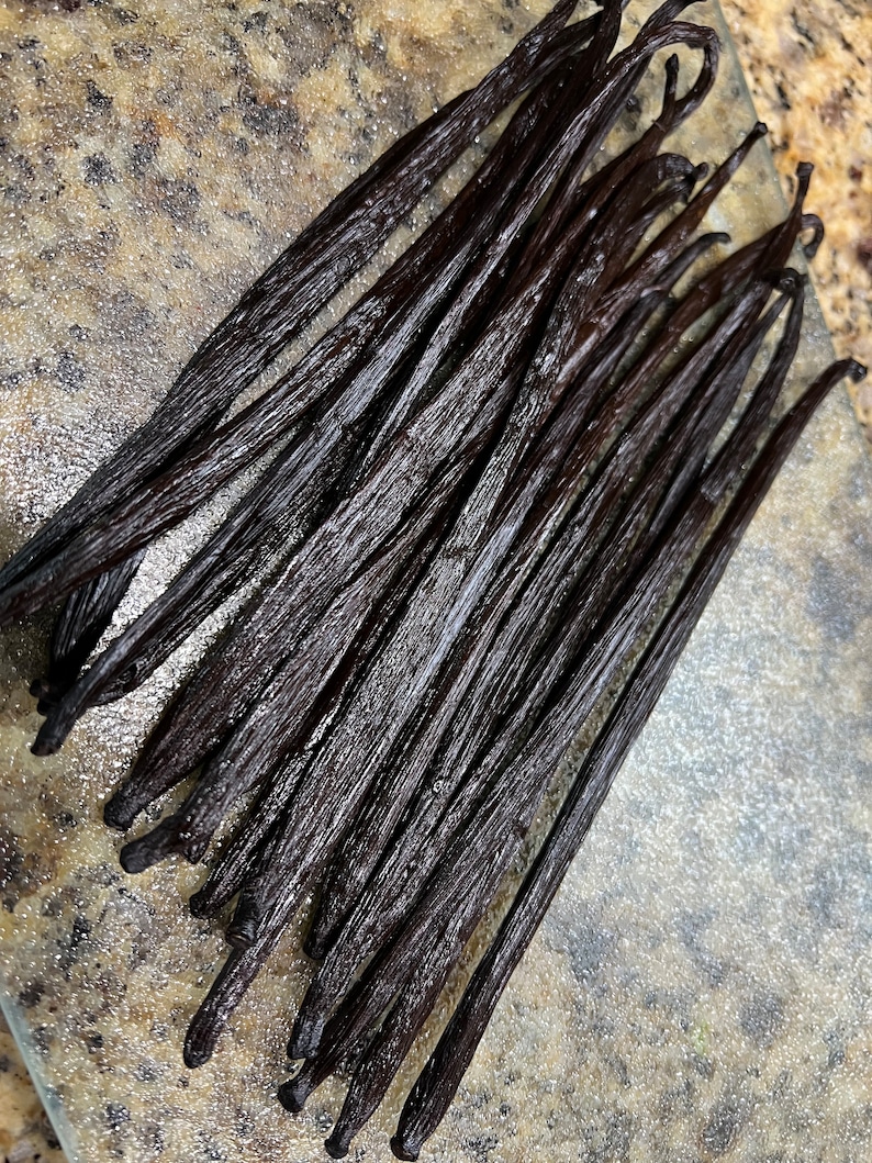 Pure Vanilla Bean Paste - Etsy