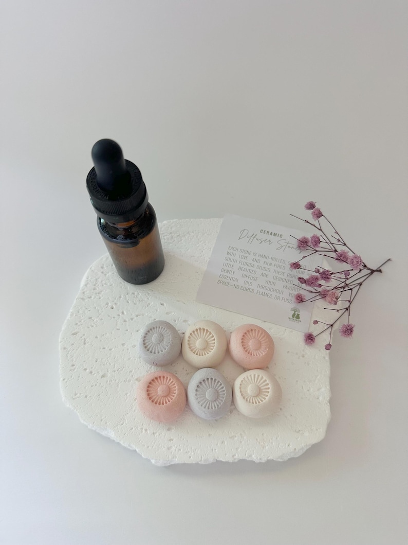 Colorful Ceramic Diffuser Stones Set: Handmade Essential Oil ...