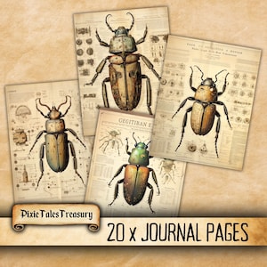 Insect Study Junk Journal Kit Collage Sheet Background Paper Mixed ...