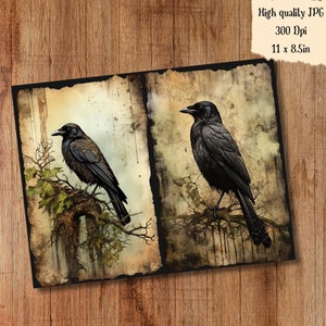 Black Raven Crow Junk Journal Pages Dark Witch Fantasy Magical ...