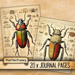 Insect Study Junk Journal Kit Collage Sheet Background Paper Mixed ...