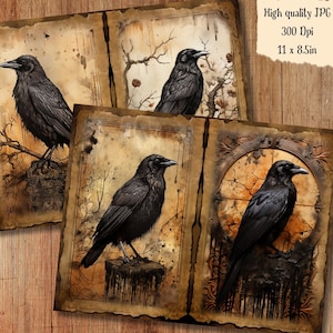 Black Raven Crow Junk Journal Pages Dark Witch Fantasy Magical ...