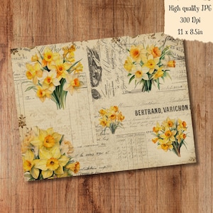 Daffodil Watercolor Trifold Folio Junkjournal Kit Vintage DIY Mini ...