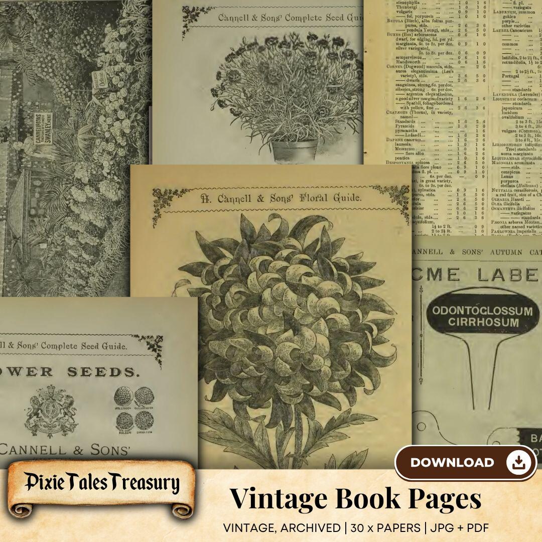 Vintage Botanical Illustration Collection, Nature Book Page Printables ...