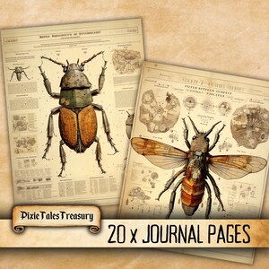 Insect Study Junk Journal Kit Collage Sheet Background Paper Mixed ...