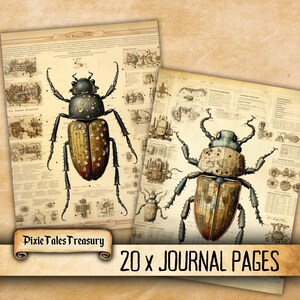 Insect Study Junk Journal Kit Collage Sheet Background Paper Mixed ...