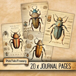 Insect Study Junk Journal Kit Collage Sheet Background Paper Mixed ...