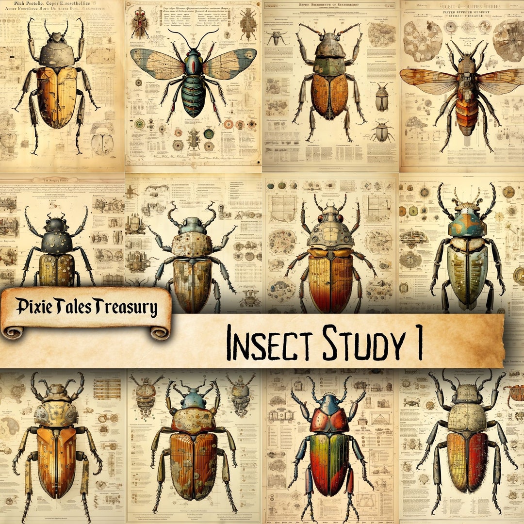 Insect Study Junk Journal Kit Collage Sheet Background Paper Mixed ...