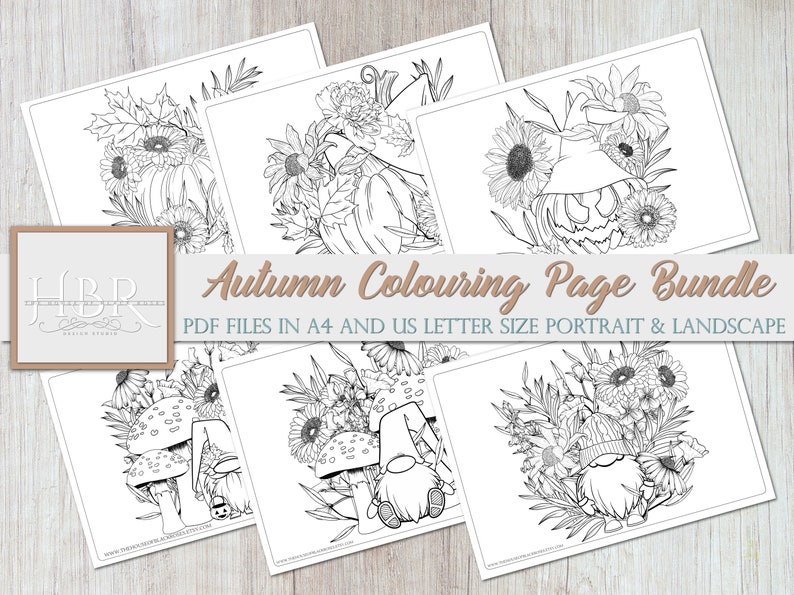 Coloring Pages Autumn Decor Colouring Sheets Pumpkin & Gnome - Etsy