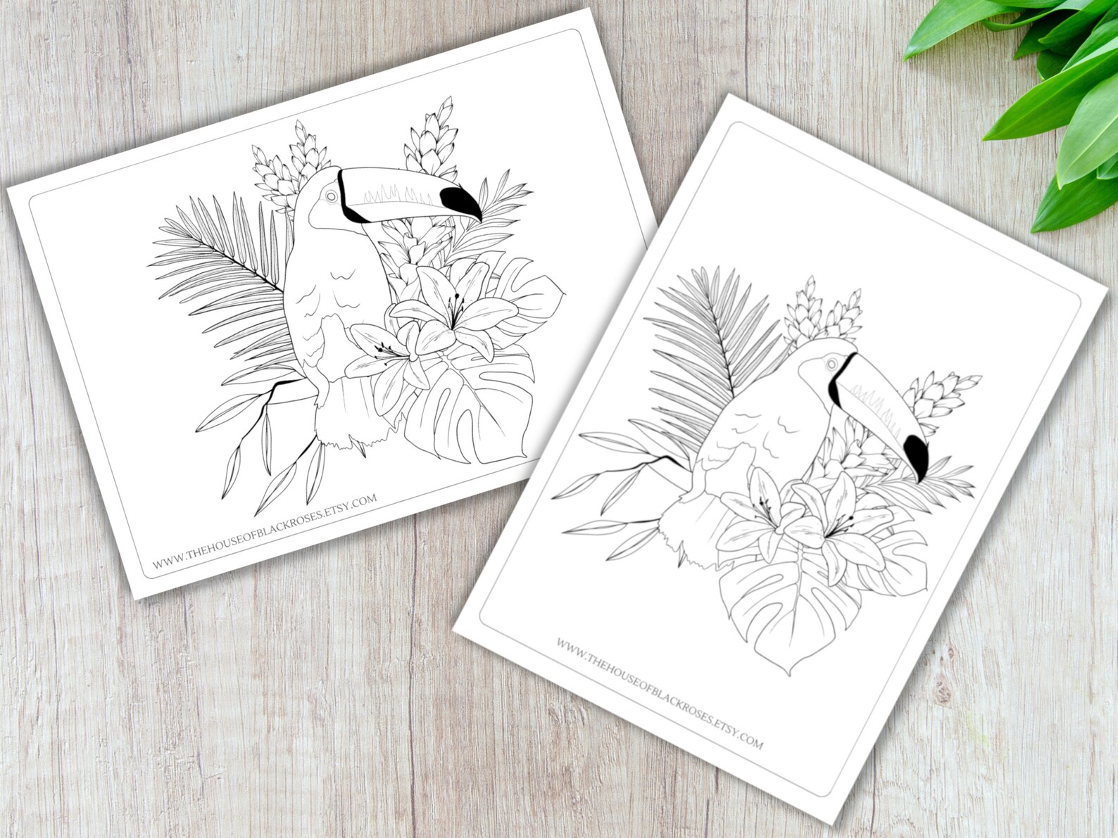 DIGITAL DOWNLOAD Printable Coloring Pages Instant Download Colouring ...
