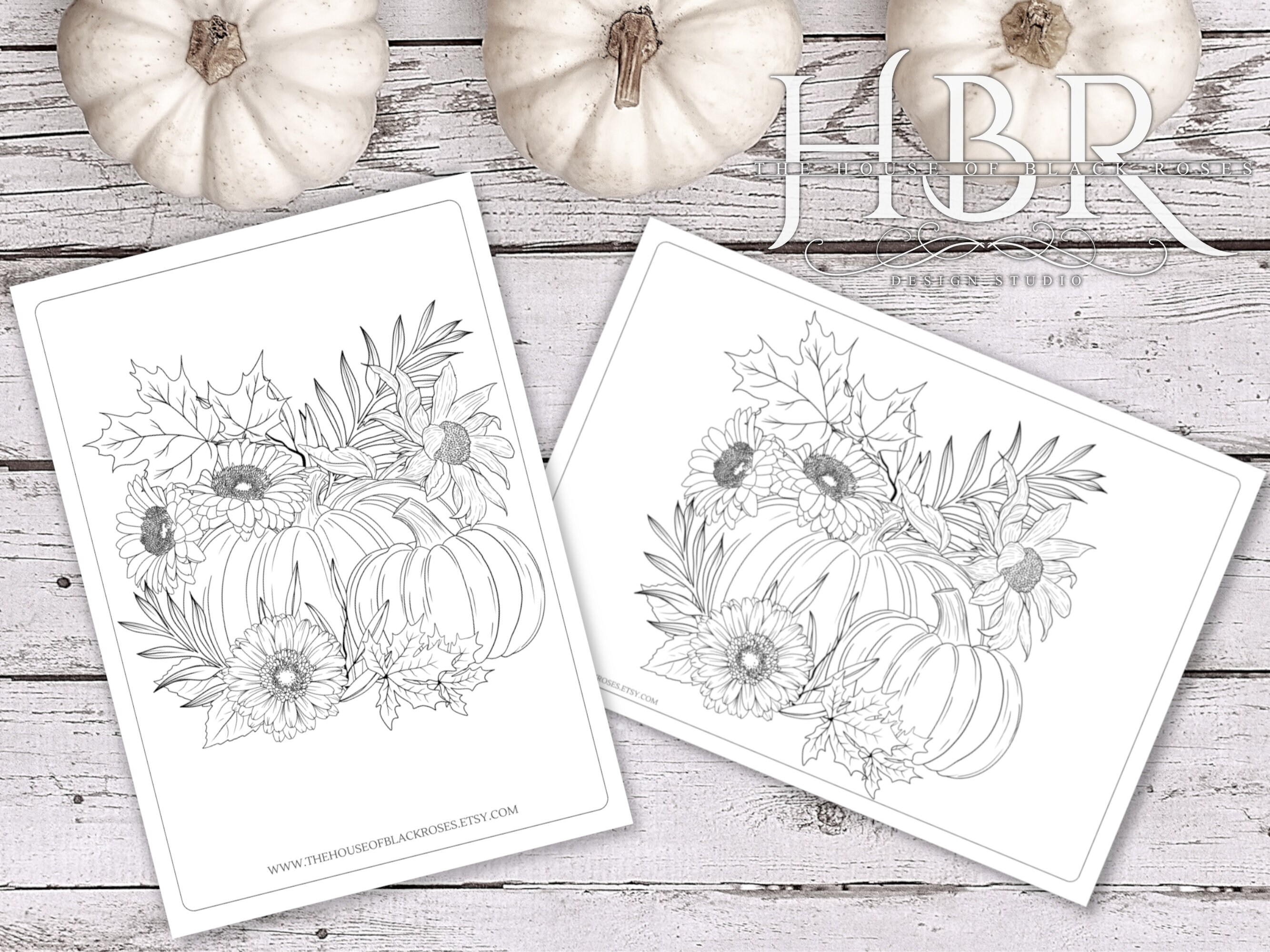Coloring Pages Autumn Decor Colouring Sheets Pumpkin & Gnome - Etsy